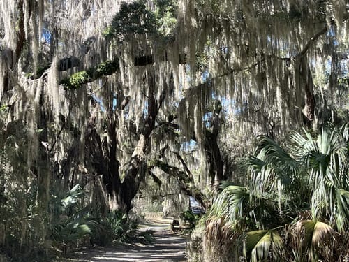 Best Hikes and Trails in Cannon’s Point Preserve | AllTrails