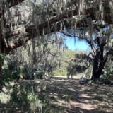 Cannon’s Point Preserve, Georgia - 126 Reviews, Map | AllTrails