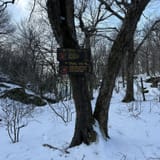 Devil's Path to the Jimmy Dolan Notch Overlook and Twin Mountain Summit ...