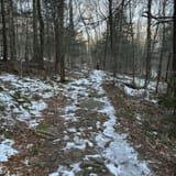 Devil's Path to the Jimmy Dolan Notch Overlook and Twin Mountain Summit ...