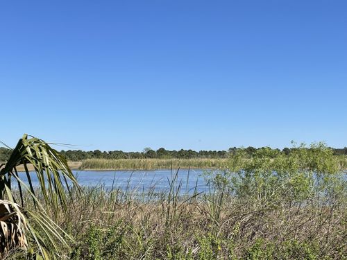 2023 Best trails in Cockroach Bay Nature Preserve | AllTrails