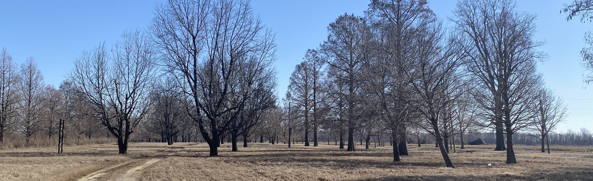 Fort Defiance Walking Loop: 9 Reviews, Map - Illinois | AllTrails