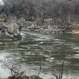 Matildaville Trail, Virginia - 209 Reviews, Map | AllTrails