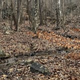Matildaville Trail, Virginia - 209 Reviews, Map | AllTrails