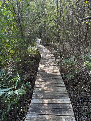 Best Hikes and Trails in Cayman Islands | AllTrails