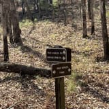 Wild Azalea Trail, Louisiana - 284 Reviews, Map | AllTrails