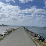 Old Sea World Drive Bay Trail, California - 202 Reviews, Map | AllTrails