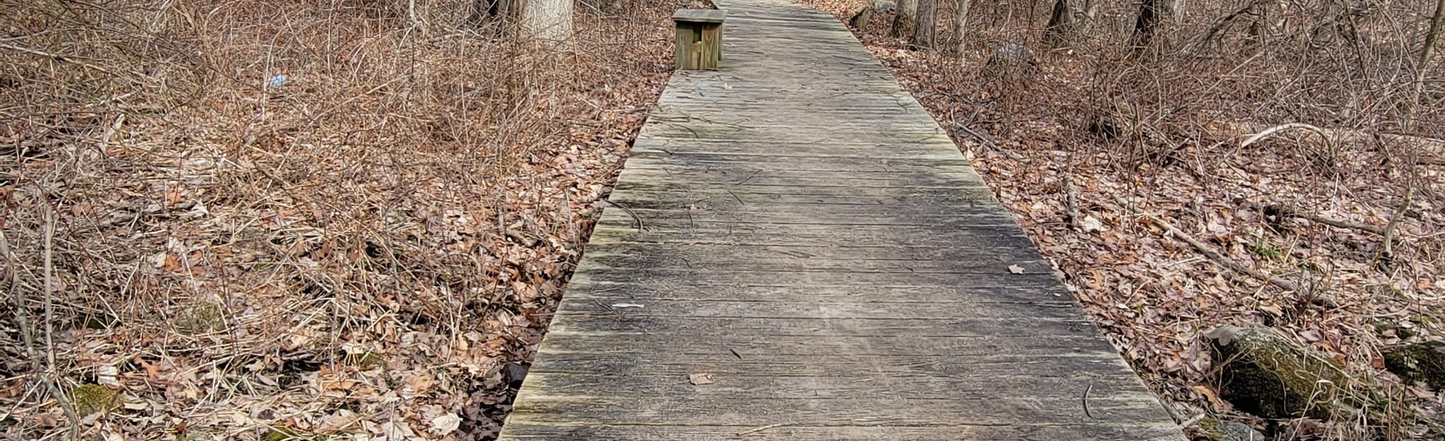 Ghiloni Park Loop: 77 Reviews, Map - Massachusetts | AllTrails