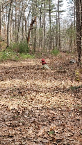 Best Hikes and Trails in Ghiloni Recreation Area | AllTrails