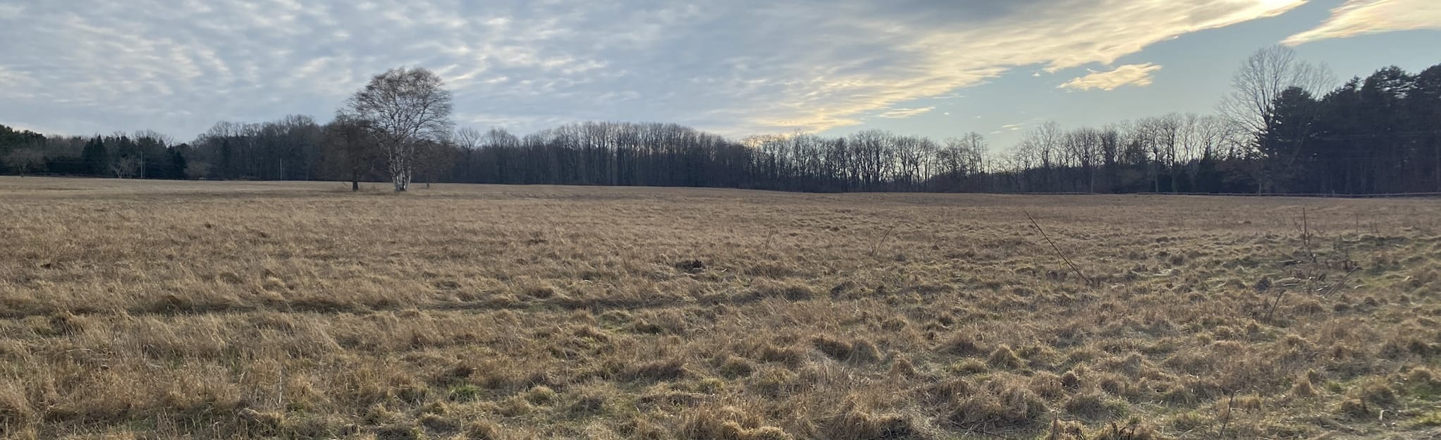 Webster Park and Gosnell Big Woods Preserve Loop: 16 Reviews, Map - New ...