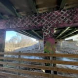 Noonday Creek Trail, Georgia - 354 Reviews, Map | AllTrails