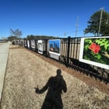 Noonday Creek Trail, Georgia - 354 Reviews, Map | AllTrails