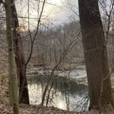 Pennypack Trail, Pennsylvania - 712 Reviews, Map | AllTrails