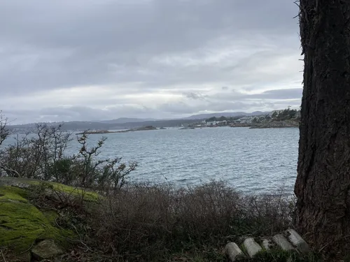 Best Hikes and Trails in Saxe Point Park | AllTrails