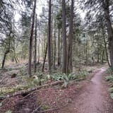 Grand Ridge Park Trail, Washington - 414 Reviews, Map | AllTrails