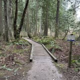 Grand Ridge Park Trail, Washington - 427 Reviews, Map | AllTrails
