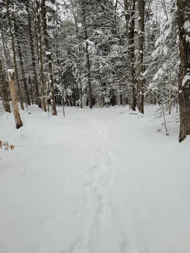 2023 Best Trails, Walks, and Paths in Abercorn | AllTrails