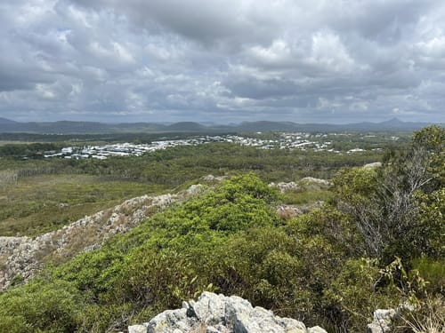 2023 Best 10 Walking Trails in Noosa Shire | AllTrails