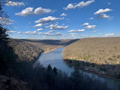 Best Forest Trails in Polk | AllTrails