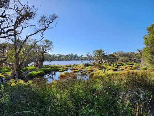 Best 10 Hiking Trails in Manning Park Reserve | AllTrails