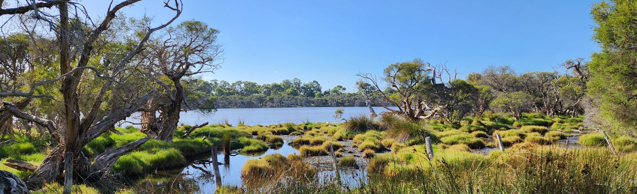 Manning Lake: 60 foto's - West-Australië, Australië | AllTrails