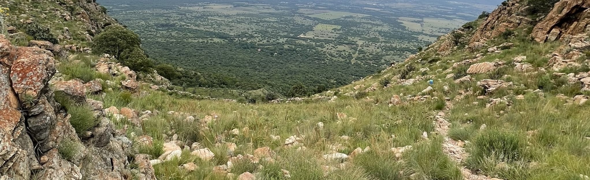 Rustig, Gauteng, South Africa - 31 Reviews, Map | AllTrails