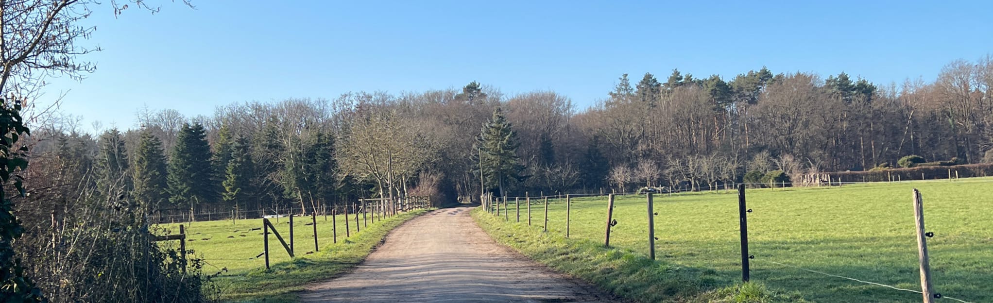 Alfter Runde, North Rhine-Westphalia, Germany - Map, Guide | AllTrails