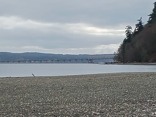 Best Hikes and Trails in Shine Tidelands State Park | AllTrails