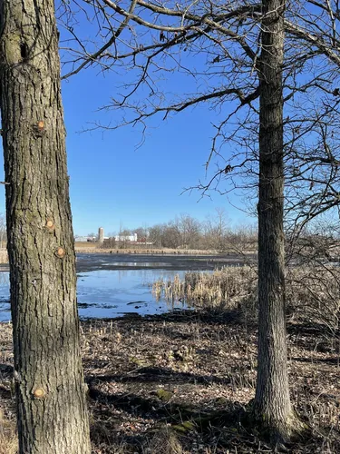 Best Hikes and Trails in Trinkle Marsh Preserve | AllTrails