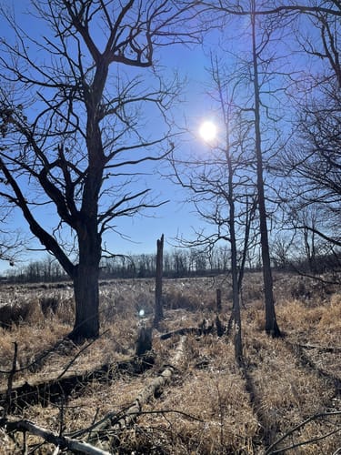 Best Hikes and Trails in Trinkle Marsh Preserve | AllTrails