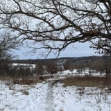 Ice Age Trail: Table Bluff Segment, Wisconsin - 318 Reviews, Map ...