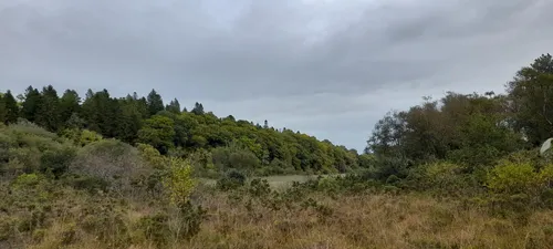 10 Best Trails and Hikes in County Galway | AllTrails