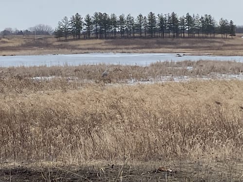 2023 Best Bird Watching Trails in Cuba Marsh Forest Preserve | AllTrails
