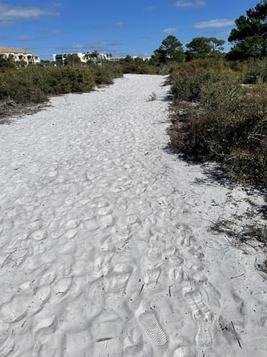 Best Hikes and Trails in Jupiter Ridge Natural Area | AllTrails