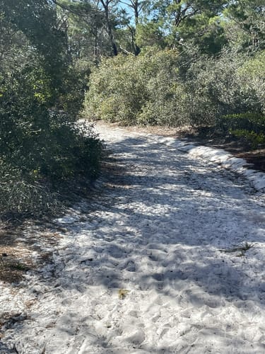 Best Hikes and Trails in Jupiter Ridge Natural Area | AllTrails