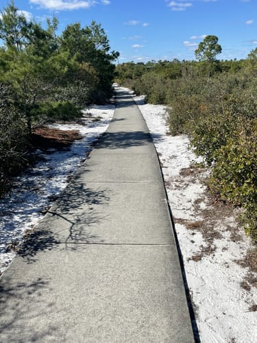Best Hikes and Trails in Jupiter Ridge Natural Area | AllTrails