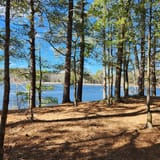 Haggetts Rail Trail to Haggetts Pond, Massachusetts - 409 Reviews, Map ...