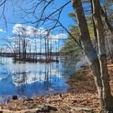 Haggetts Rail Trail to Haggetts Pond, Massachusetts - 409 Reviews, Map ...