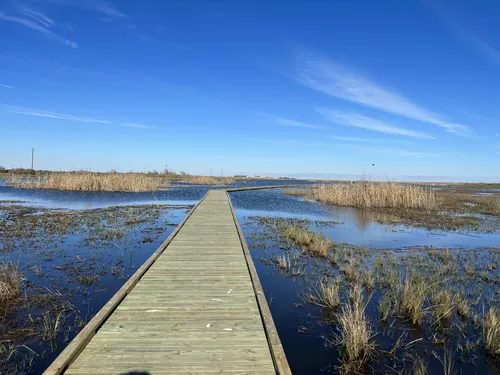 Best Hikes and Trails in Sea Rim State Park | AllTrails