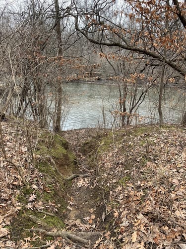 Best Hikes and Trails in Bemis Woods South | AllTrails