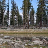 White Wolf to Pate Valley Trail, California - 29 Reviews, Map | AllTrails