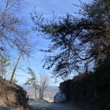 Currahee Mountain, Georgia - 539 Reviews, Map | AllTrails