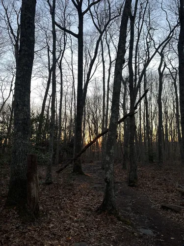 Best Hikes and Trails in Pardon Gray Preserve | AllTrails