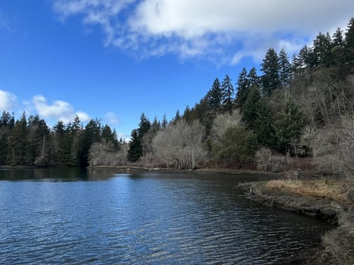 Best Hikes and Trails in Blakely Harbor Park | AllTrails