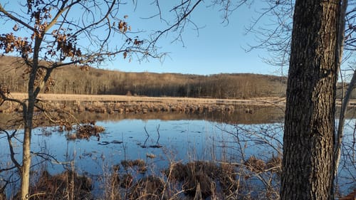 Best Hikes and Trails in Wallkill National Wildlife Refuge | AllTrails