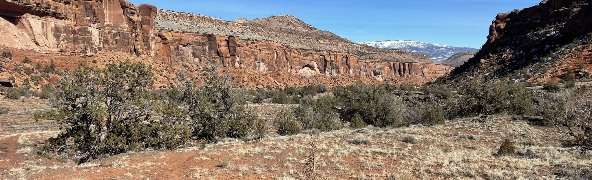 Big Dominguez and Little Dominguez Loop: 78 Reviews, Map - Colorado ...