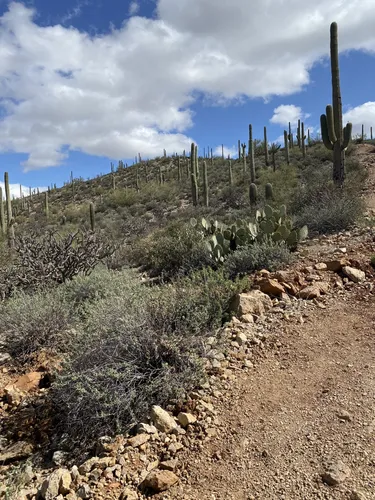 Best Hikes and Trails in Painted Hills Trails Park | AllTrails
