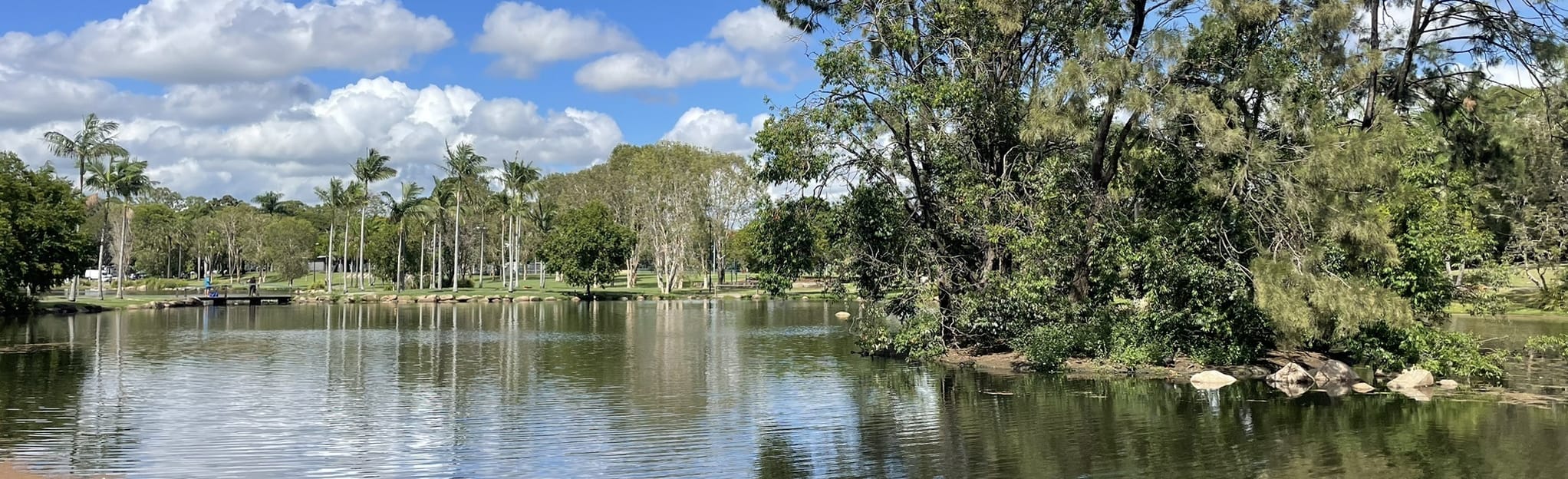 Centenary Lakes Walk: 13 Reviews, Map - Queensland, Australia | AllTrails