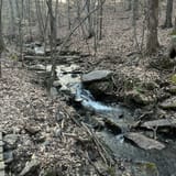 Peter's Creek Heritage Trail, South Carolina - 302 Reviews, Map | AllTrails