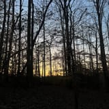 Peter's Creek Heritage Trail, South Carolina - 302 Reviews, Map | AllTrails